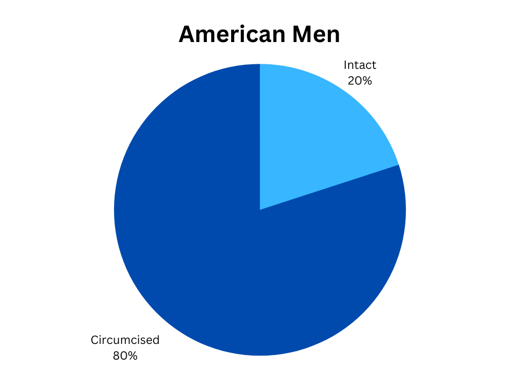 Survey Data Shows The Foreskin Regeneration Market Is Over 200 Billion ...
