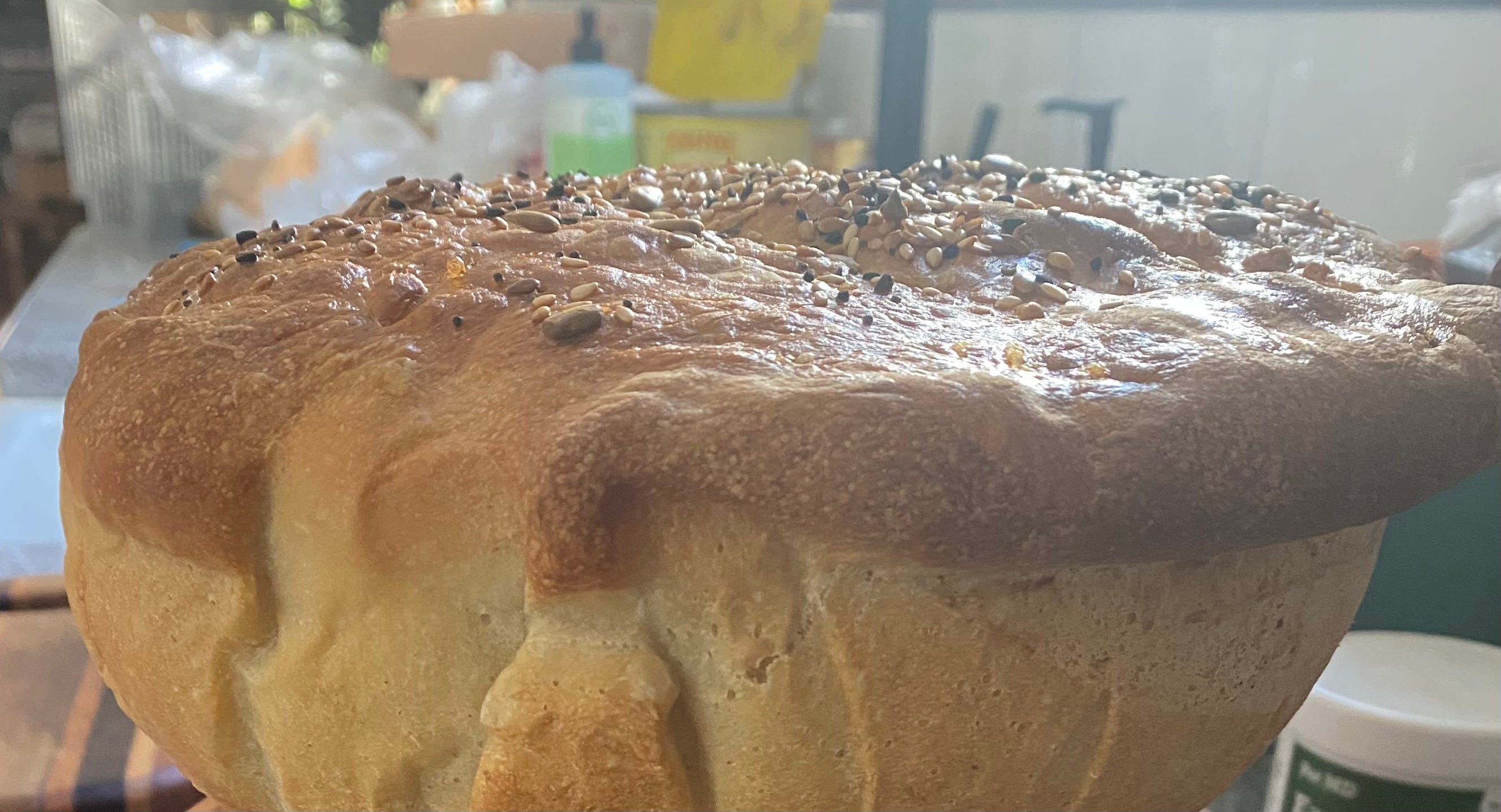 A celebration of failure - by Maura Casey - Casey's Catch