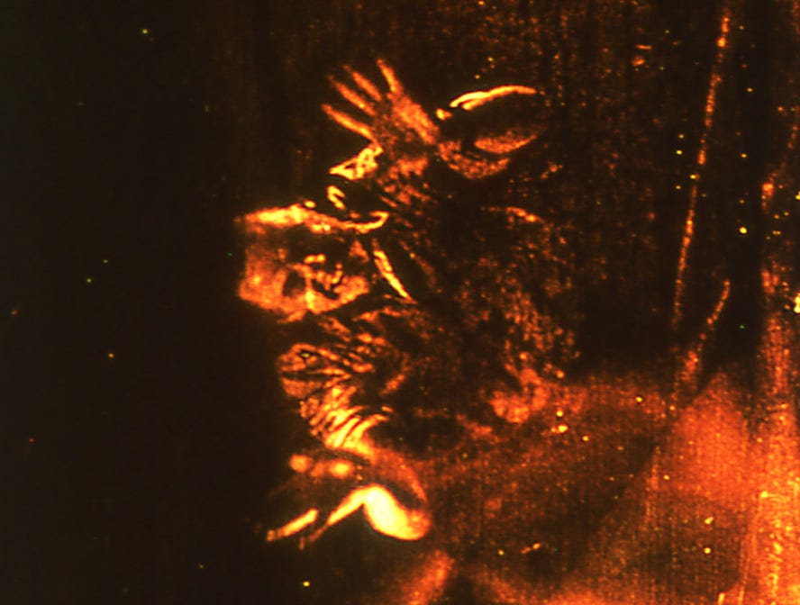 Film Show 041: Avant-Garde Horror Films - Tone Glow