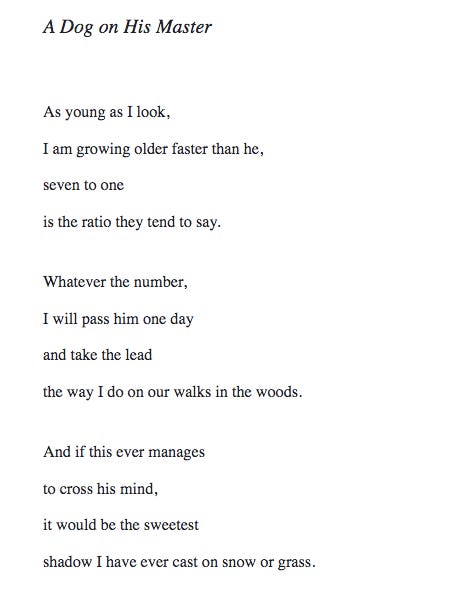 A few dog poems - by Rahul Singh - Mehfil