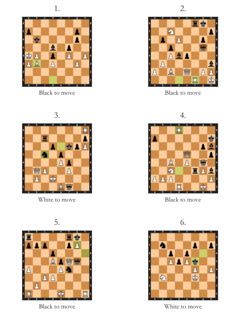 New checkmate book soon to be published!