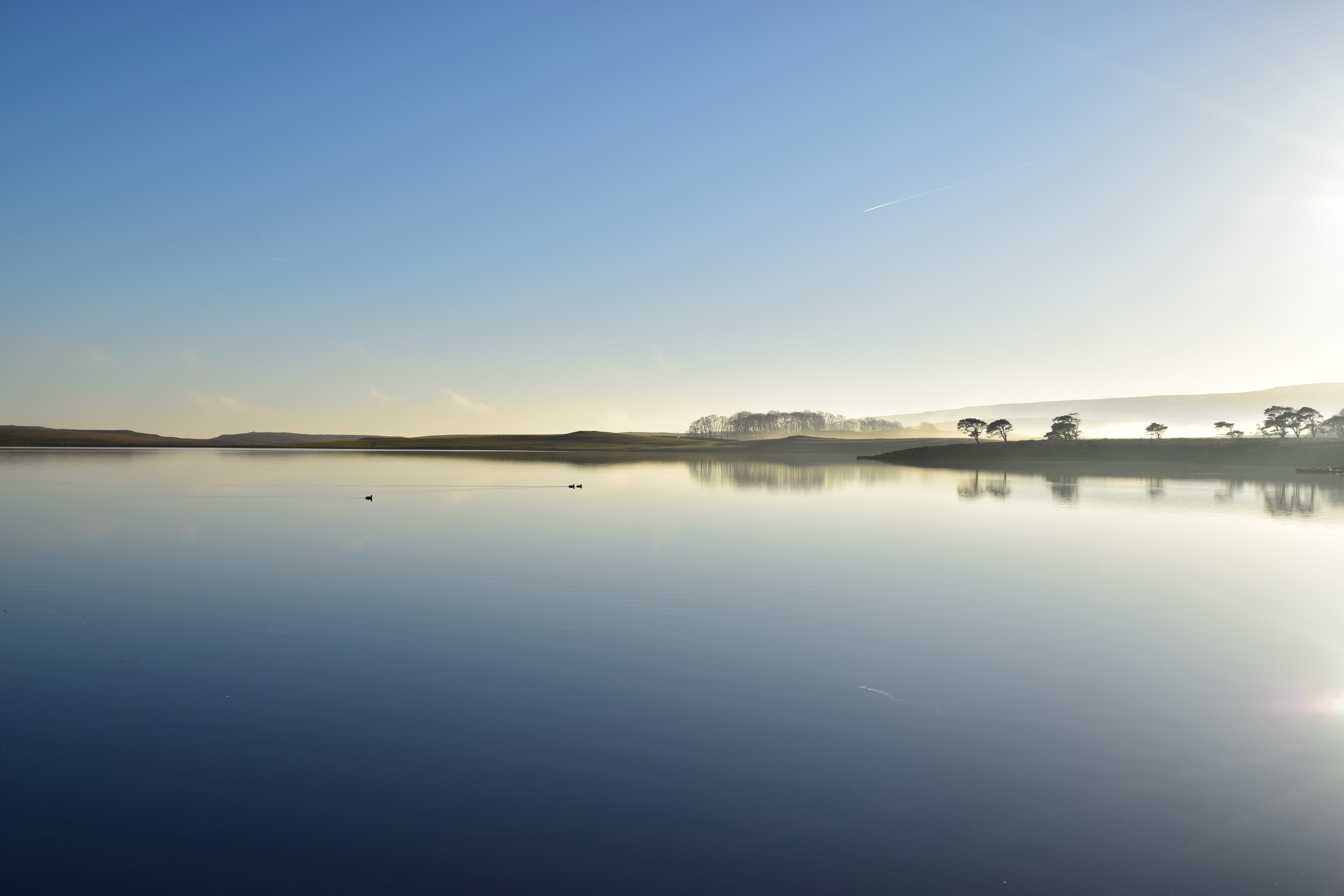 What To Do When Grief Isn't Overwhelming - by Vivian Nunez