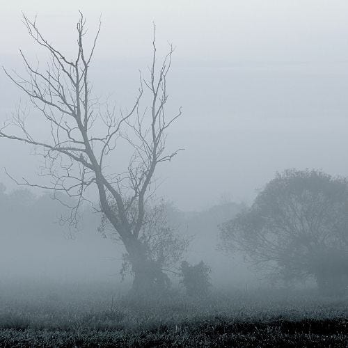 Tales & Treasure Chapter 10 - by Rob Mortell