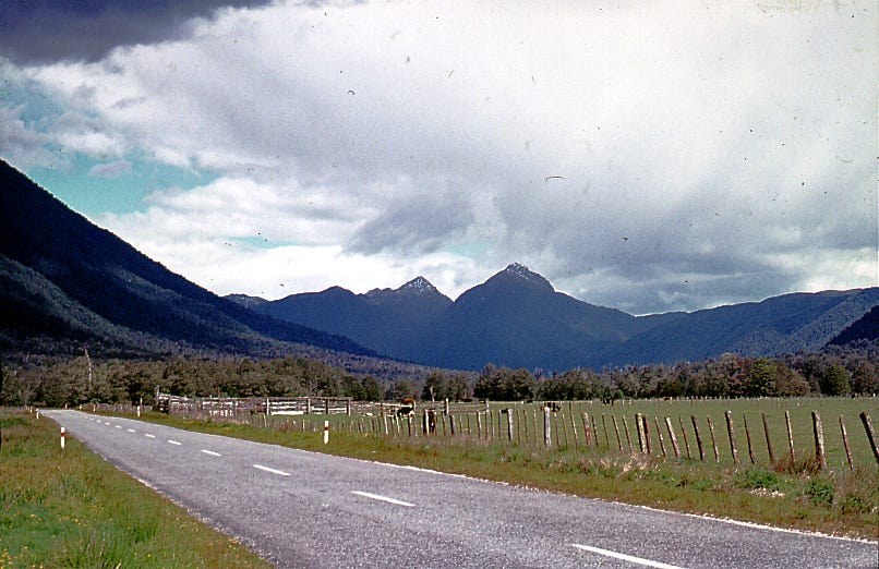 The infamous Inangahua River swing bridge, soaked in summer sun,