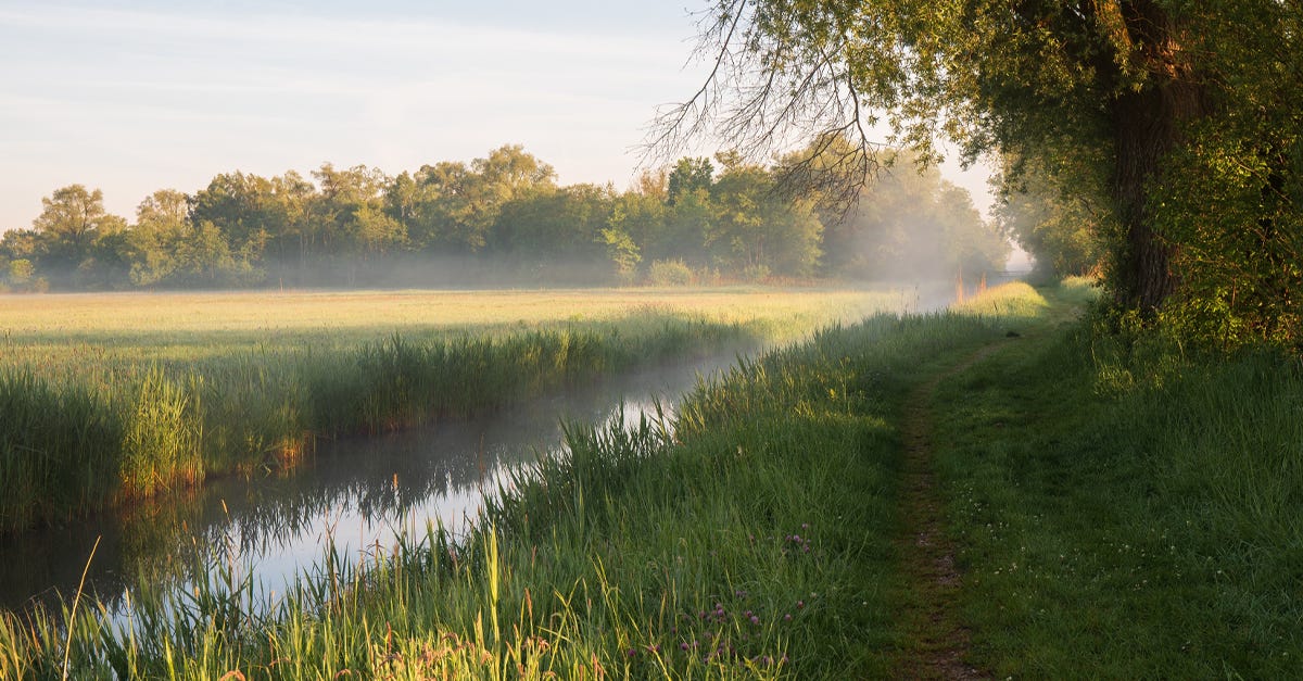 Celebrate meaning - by Ralph Marston - Great Day Good Life