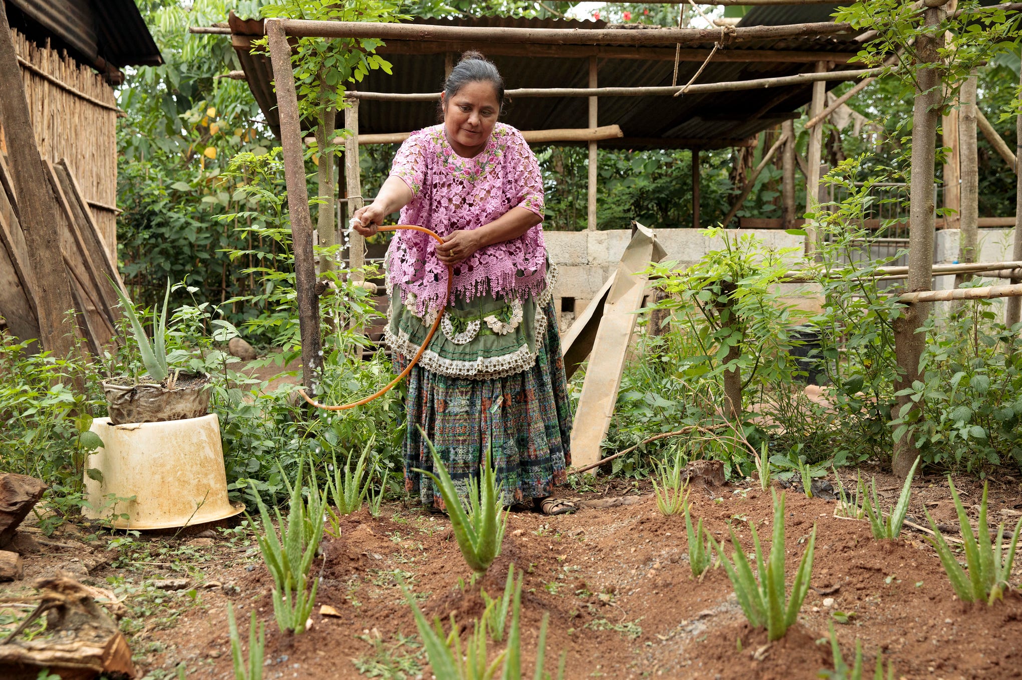 Maya Agriculture and the Spaces of Possibility