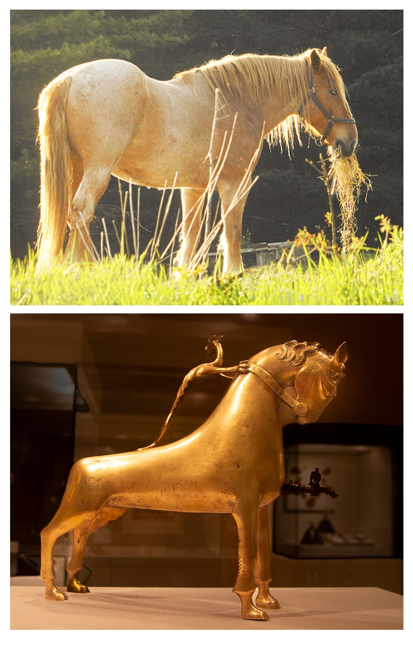 Golden Horses - by Terry J. Allen
