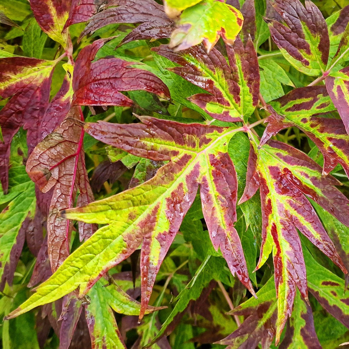 Monday October 30, 2023 - by J. Allan Dale - Daily Thoughts