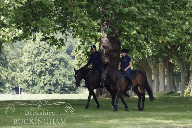 Andrew's Sins Resurface to Plague the Royals' Start to the New Year