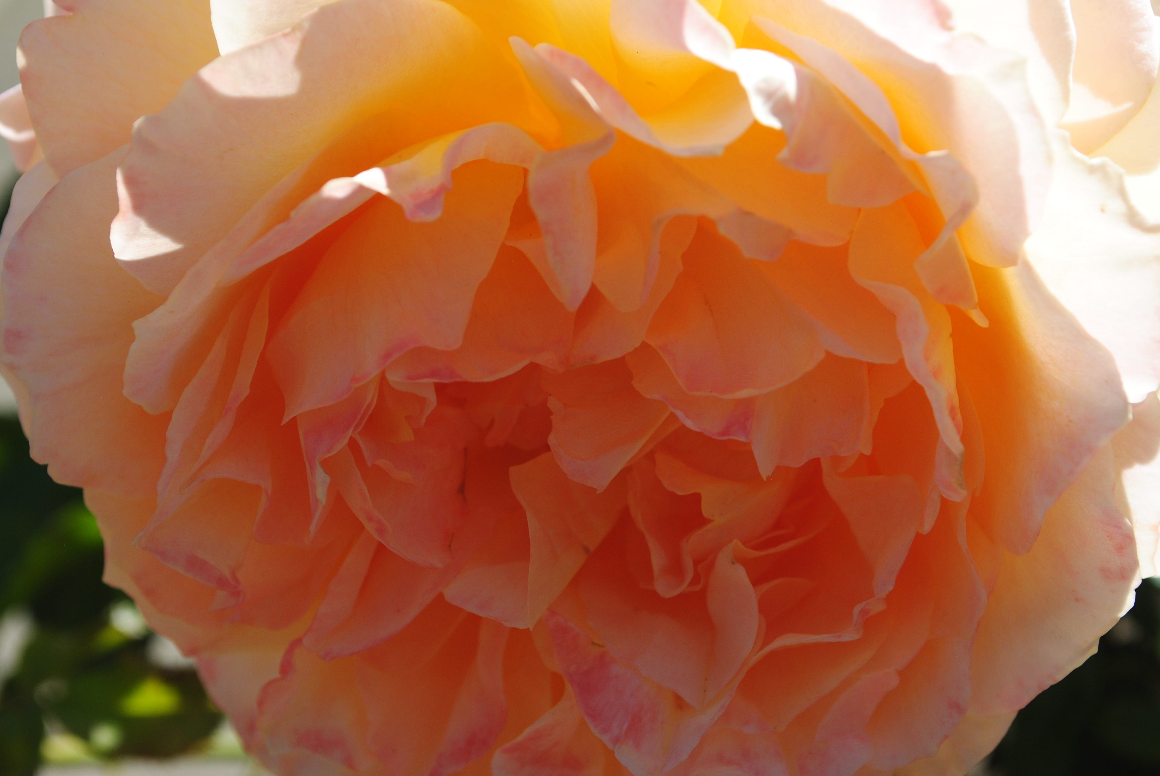 Work, Right Work, and Oops. - by Janet Salsman