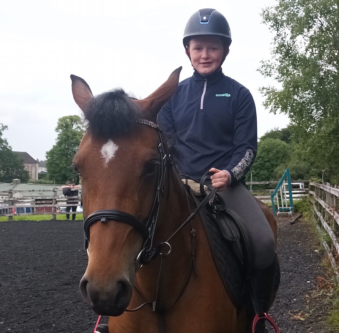 Final approaches at Strule Valley - Horse&Field