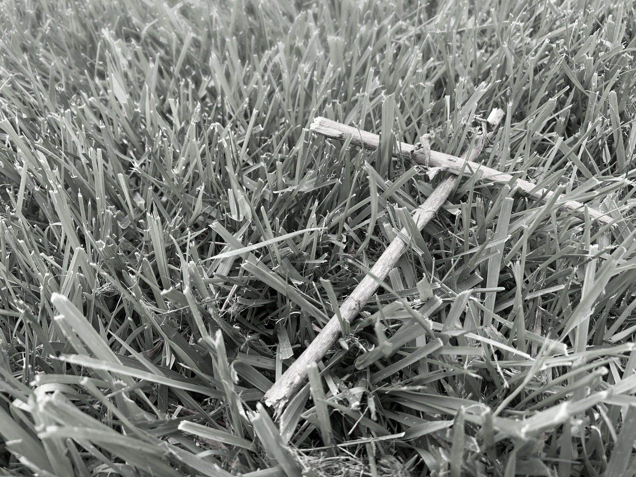 Stations of the Cross - by Edward Goode - Imago Scriptura