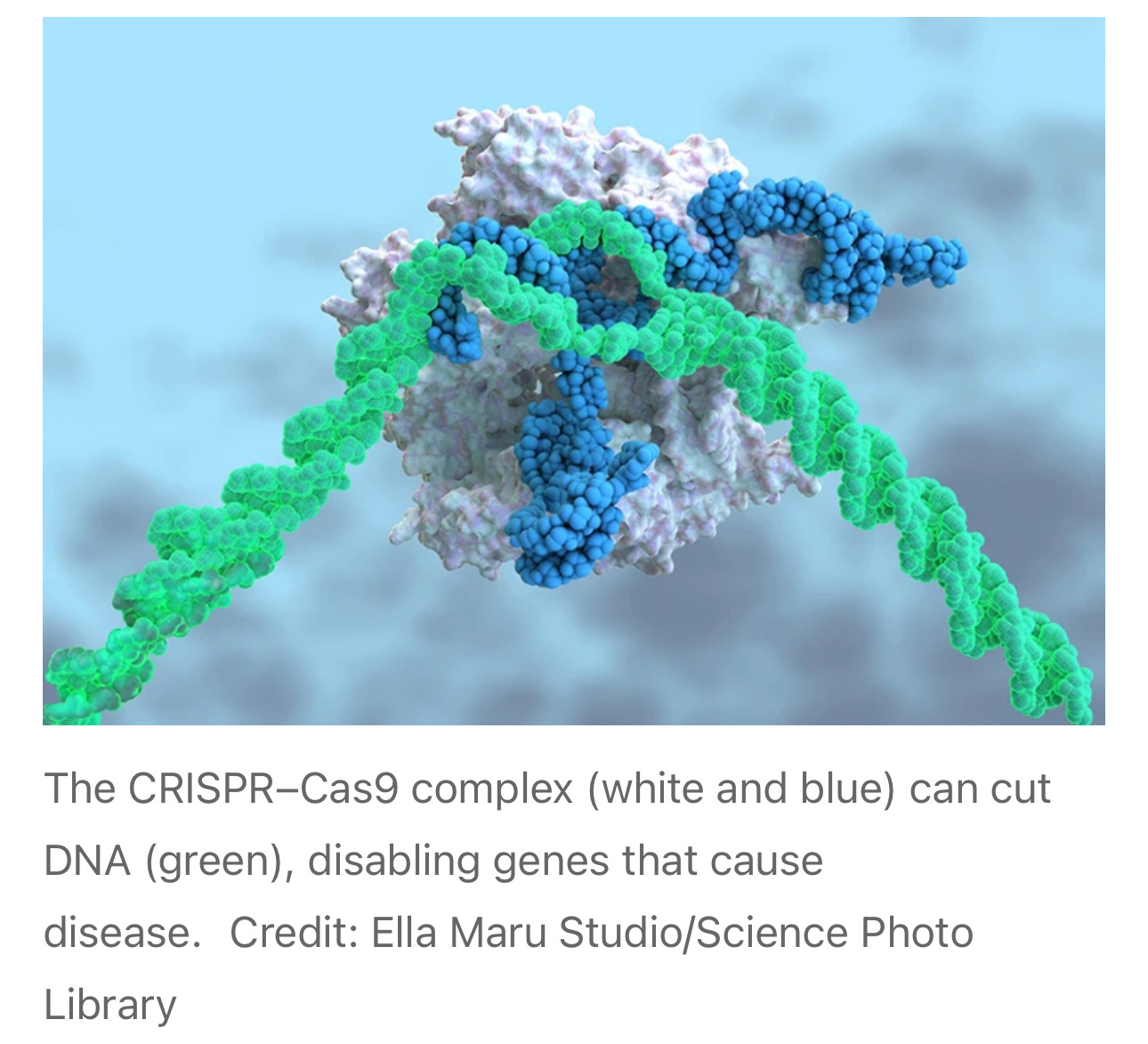🎁 CRISPR FRIDAY: 8 Quick Reads to Bring You Up to Speed $CRSP $VRTX