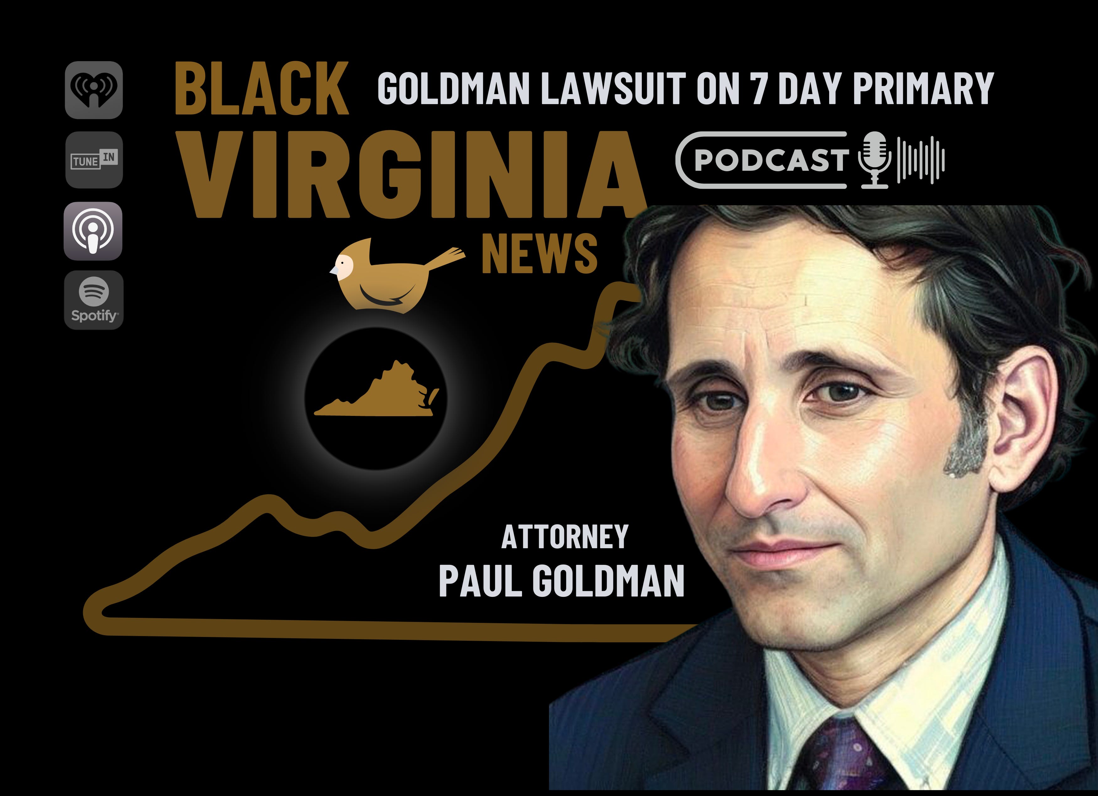 EP01: Paul Goldman on Firehouse Primary Lawsuit CD04, Jan. 18, 2023