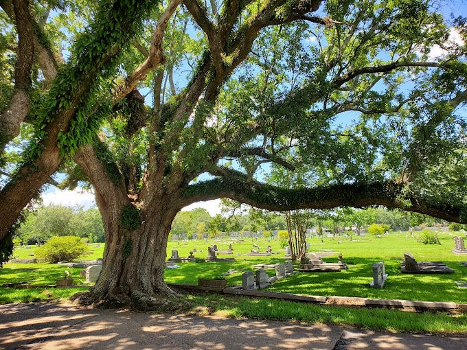 the Shadow and its Man - by Paul Miller - Paul’s Substack