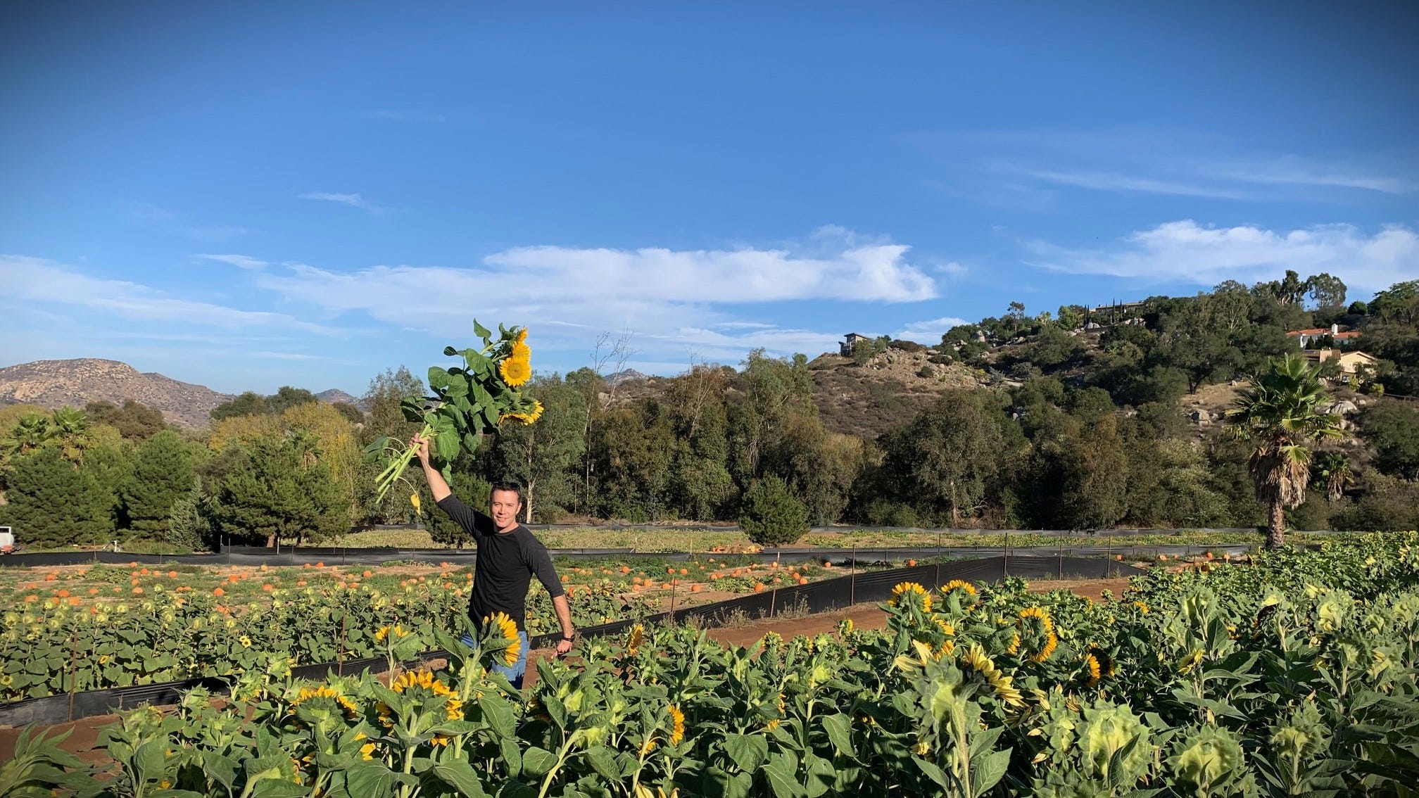 Too happy to create? - J ROBERT CLARK - MAKES