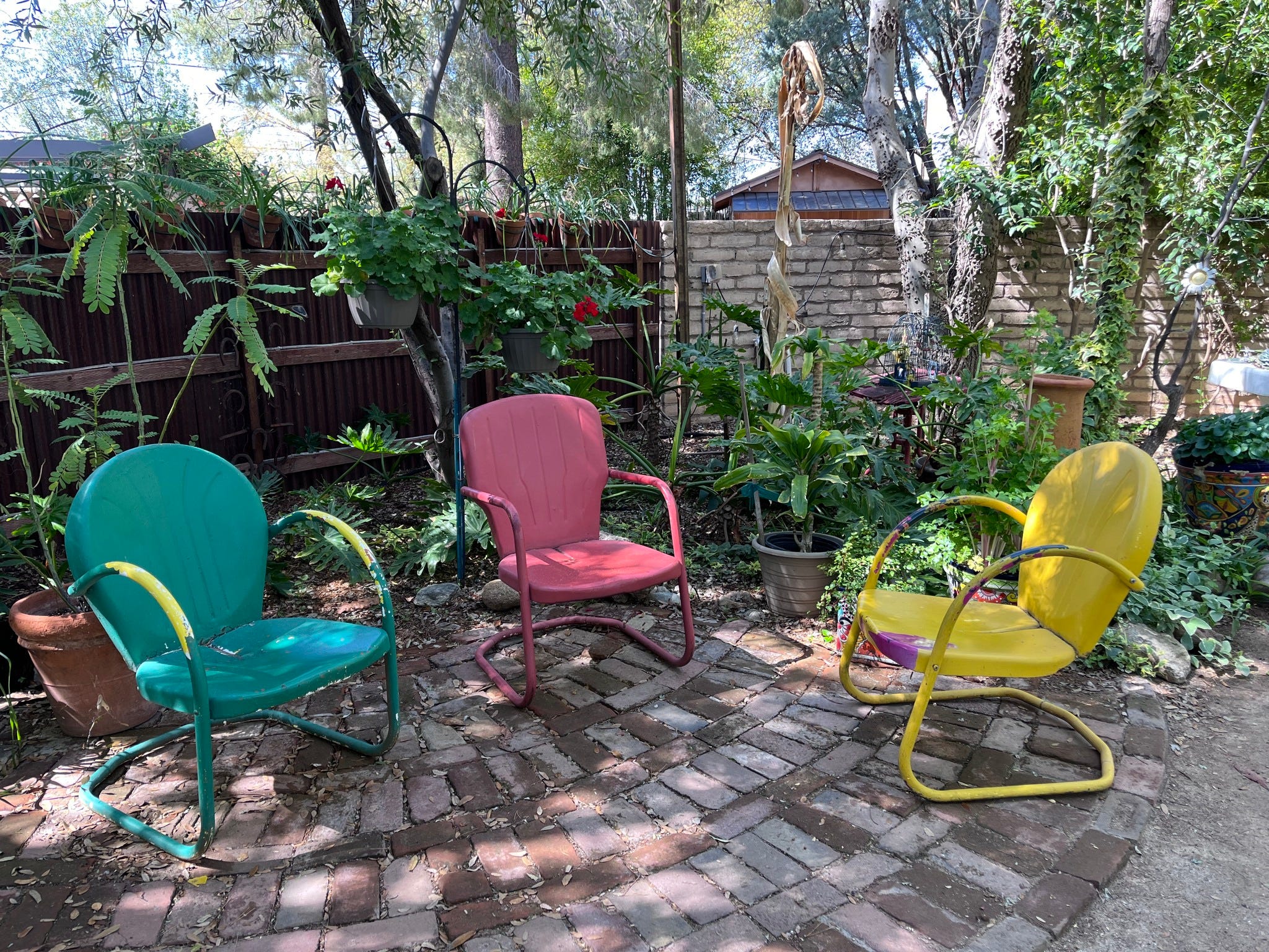 Blooms and Butterflies in the Desert - by Deb Sinness