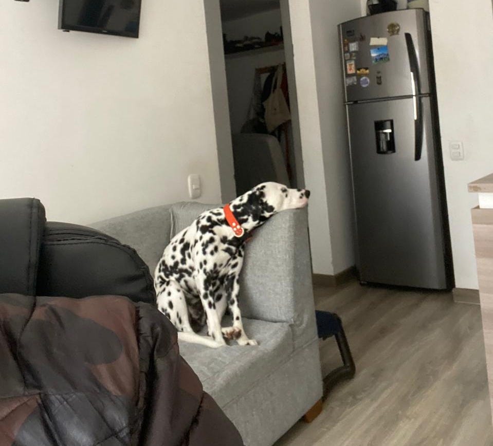 Momentos de momentos - by Jose L - El Substack de Jose