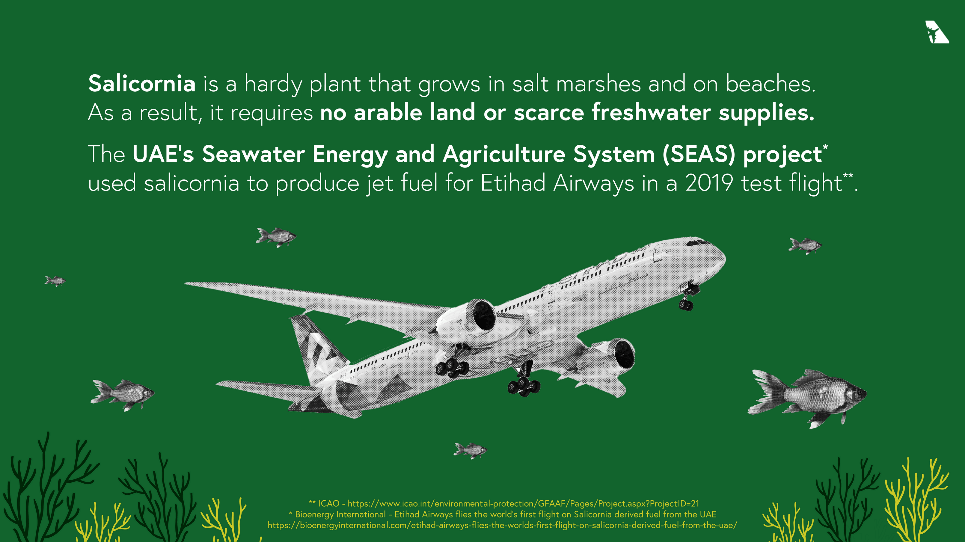 Understanding Sustainable Aviation in 40 Charts (Plus, Case Studies!)