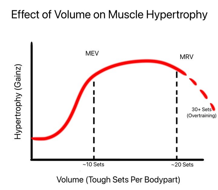 Volume & Training Frequency Basics - by Tom Purkis