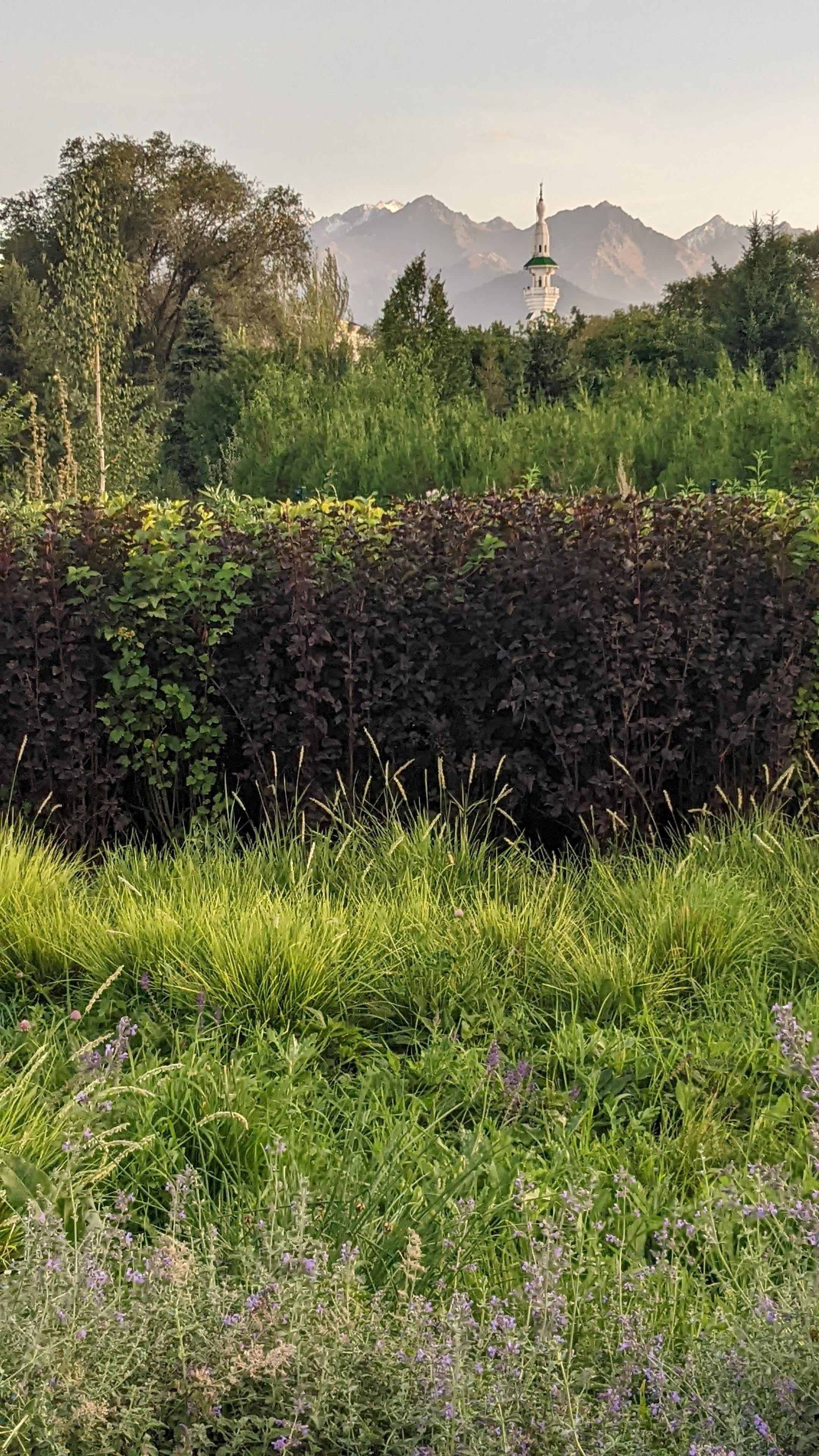 Balkan Ecology Project : Gardens Around the World - Almaty Botanic ...