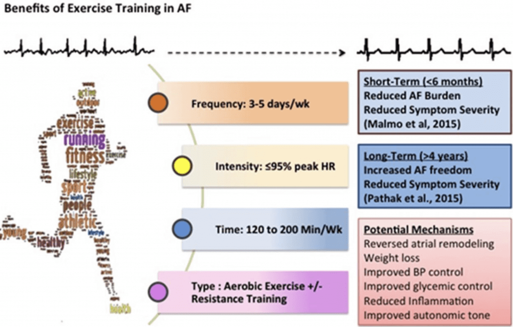 A Primer on Atrial Fibrillation