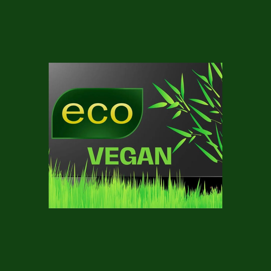 Eco-Conscious Living, Plant-Powered: Choosing Green, Feeling Good ...