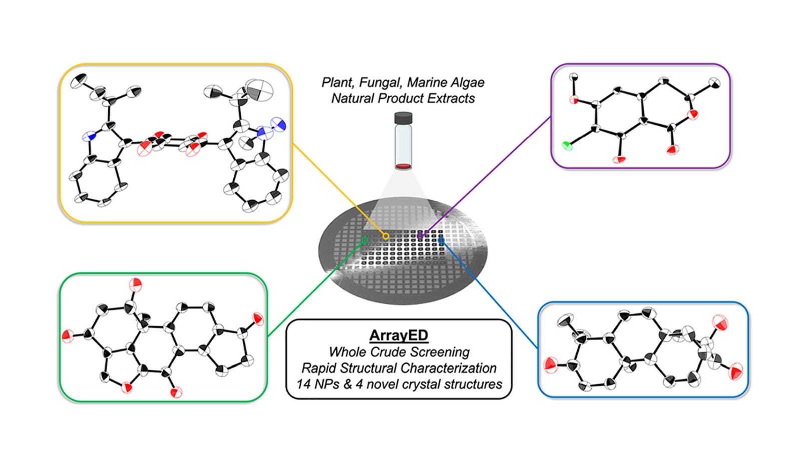 New technology supports discovery of new molecules from nature