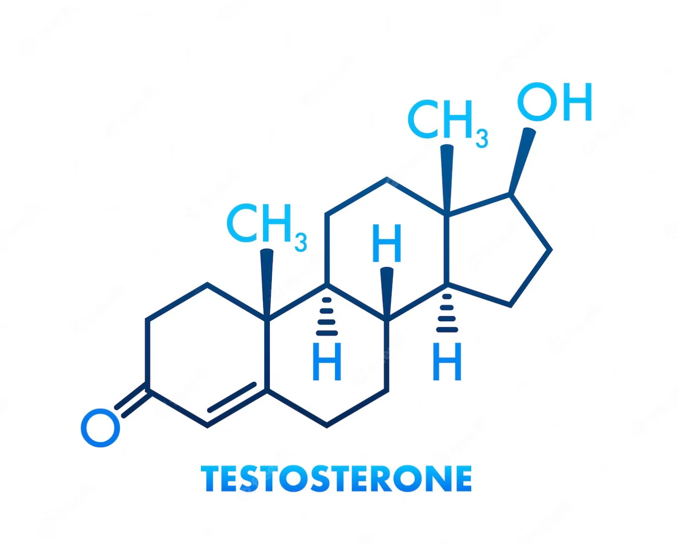 Testosterone Basics, What you Need to Know