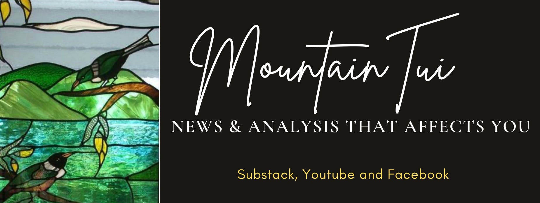 About - Mountain Tūī