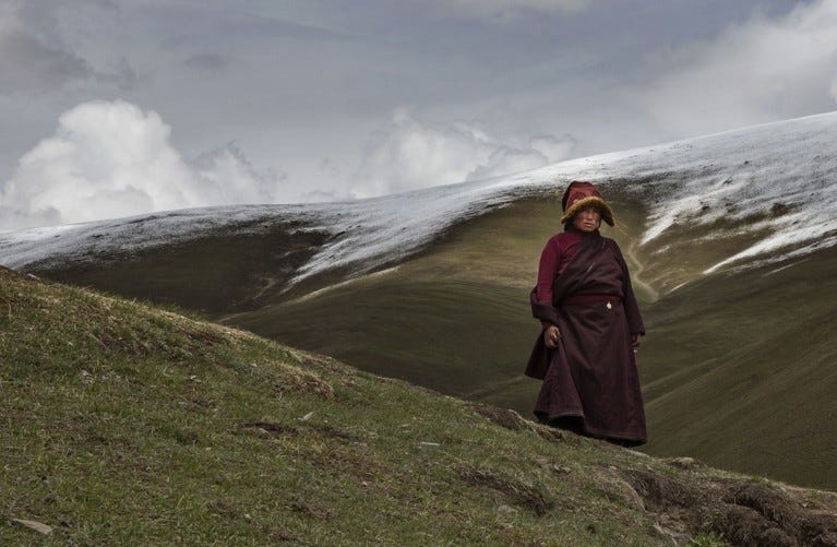 Genetic history: the origin of modern-day Tibetan Chinese and their ...