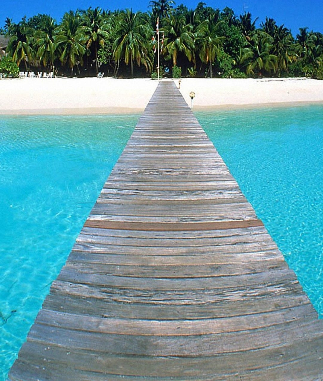 Neaveh Island - by Alexander Pelky - Forest of the Ideal