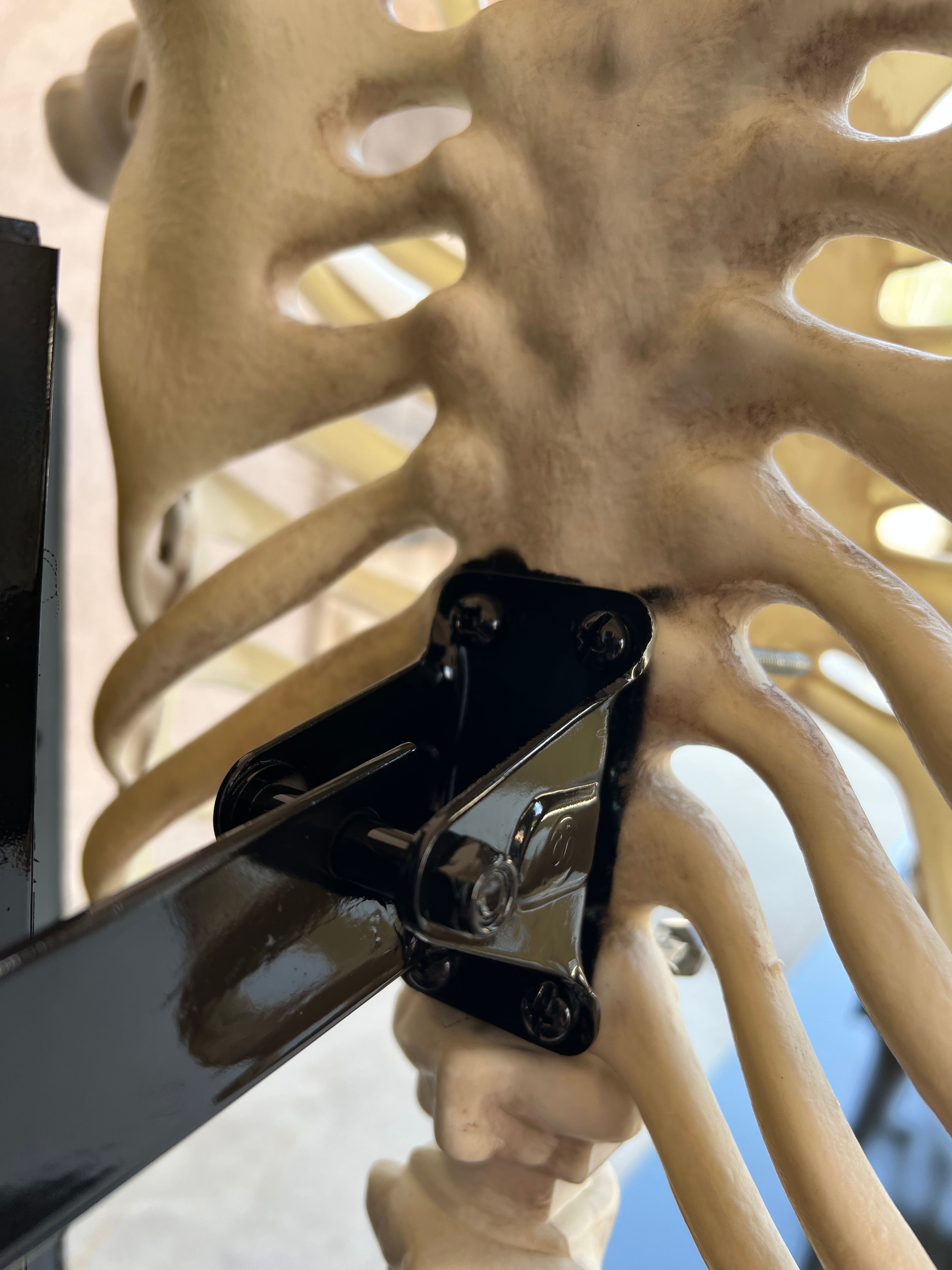 #2: Dog Pulling My Leg Prop - Haunt Makers