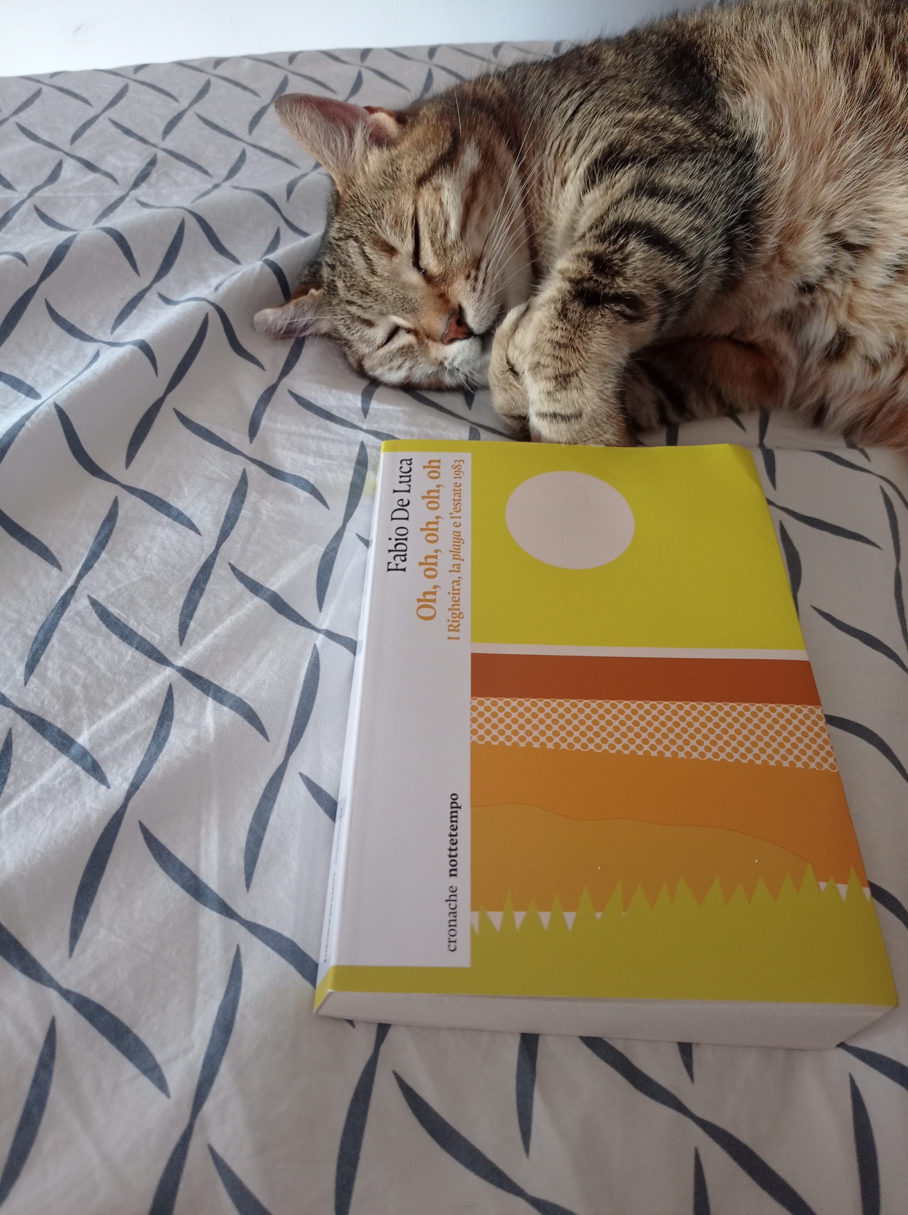 #2 Cruel Summer - Carola’s Substack