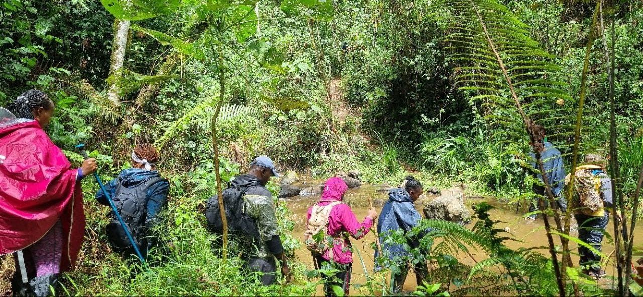 Thank You for the Journey: 2023 in Review - by ~Patrick©