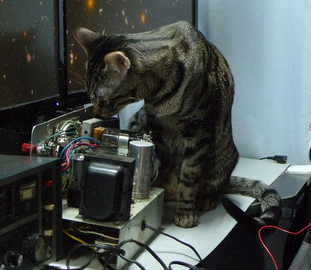 Comments - Wonkette's Top Ten Stories Of The Week Are A Little Confused TBQH