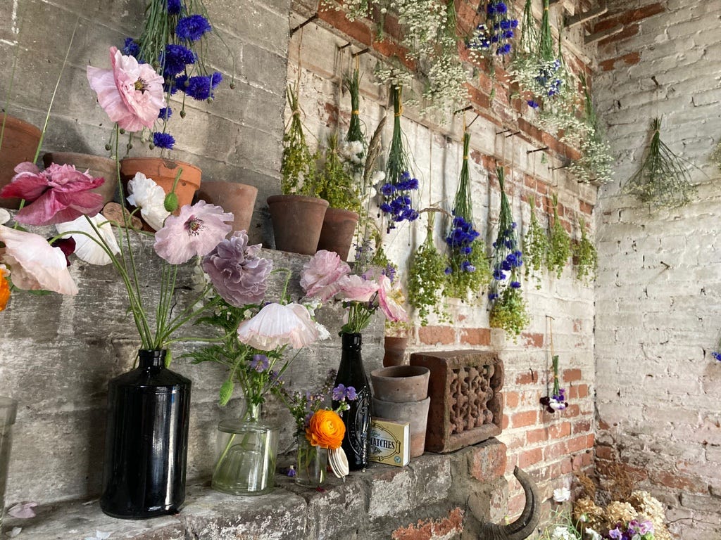 The Potting Shed - by Caroline Beck - DIRT