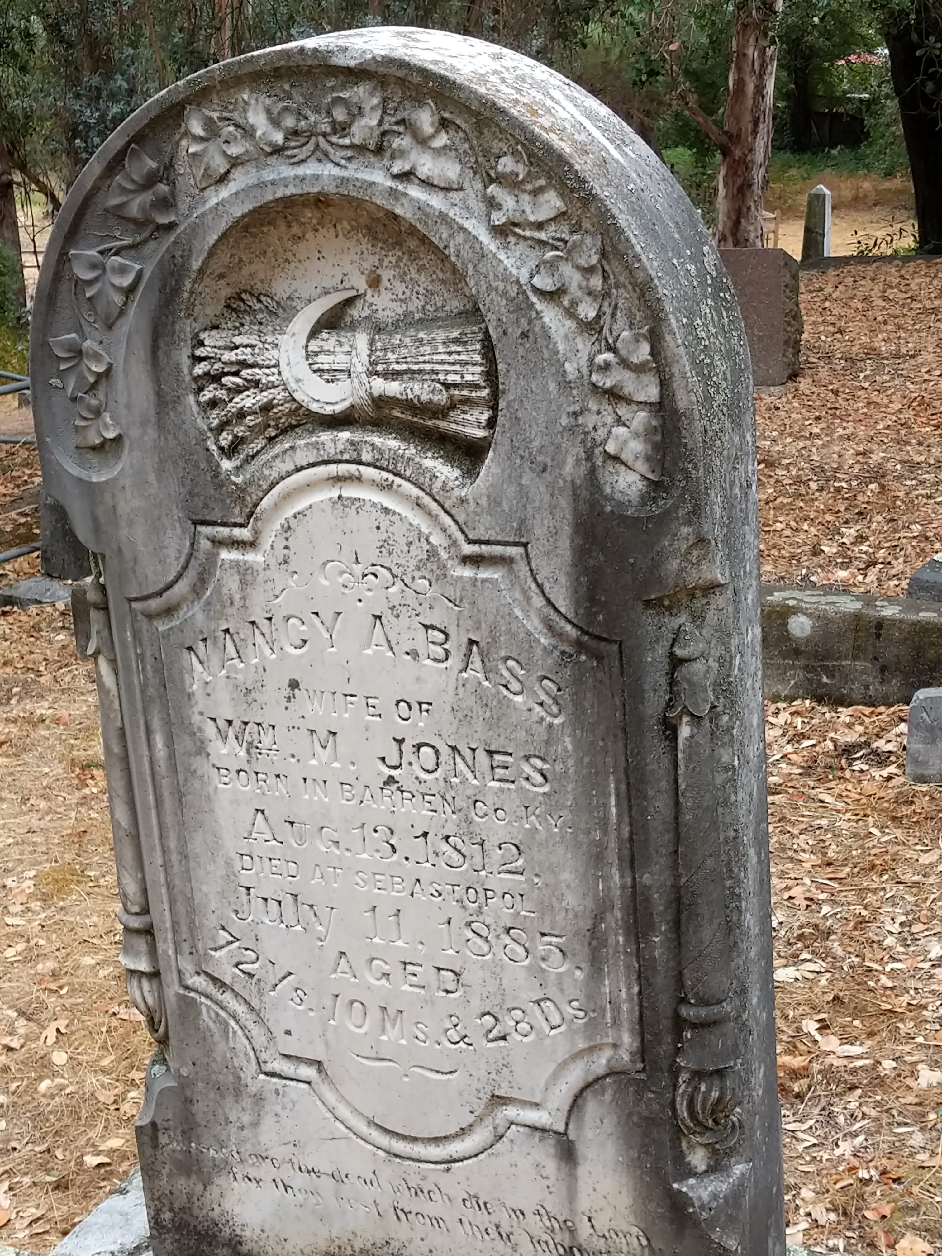 Substack of the Dead: Cemetery Wanders