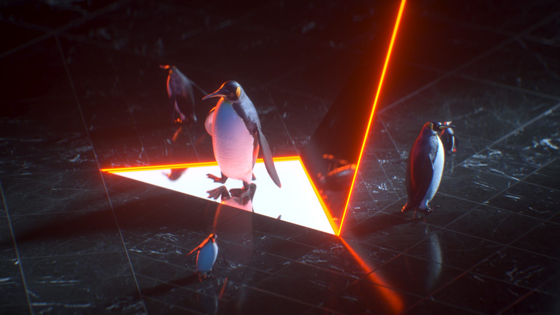 An Interview with Noe Alonzo - Hardart’s Substack