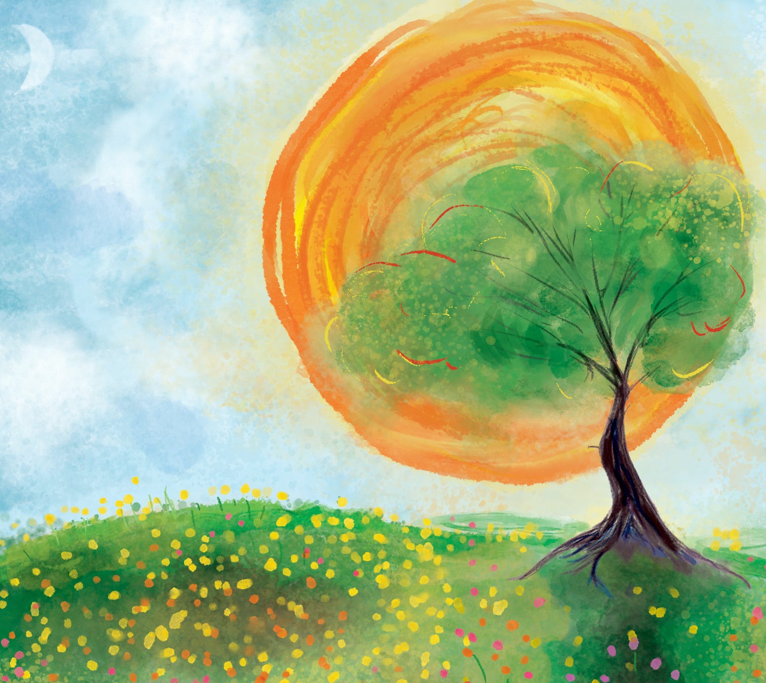 Jan Elisabeth | Substack