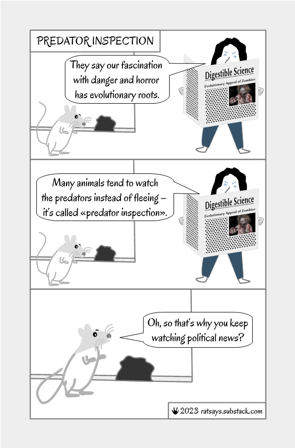 Predator Inspection - Rat Says