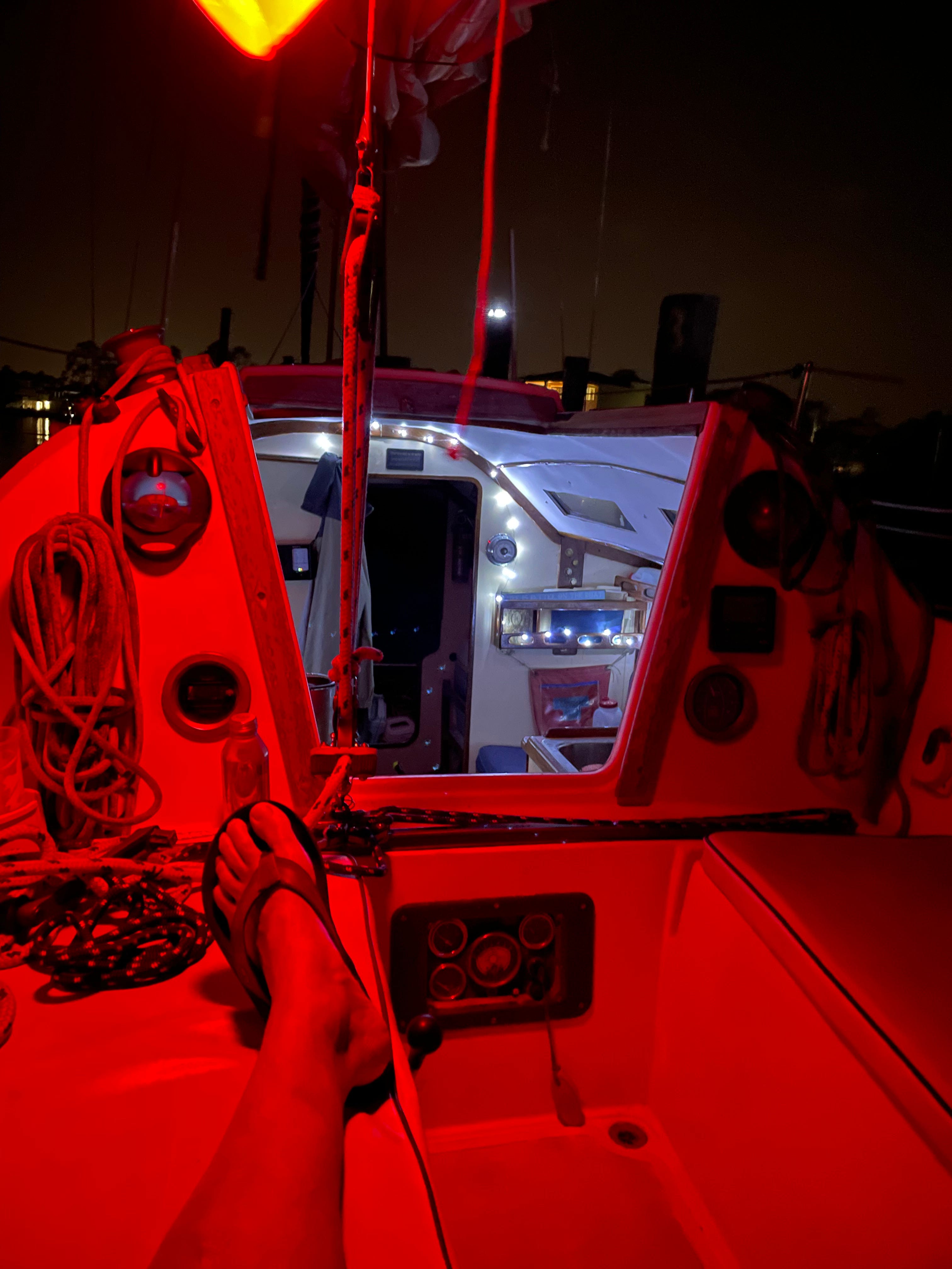 2023 Highlights - by Ted Cruz's Beard - Ted’s Substack