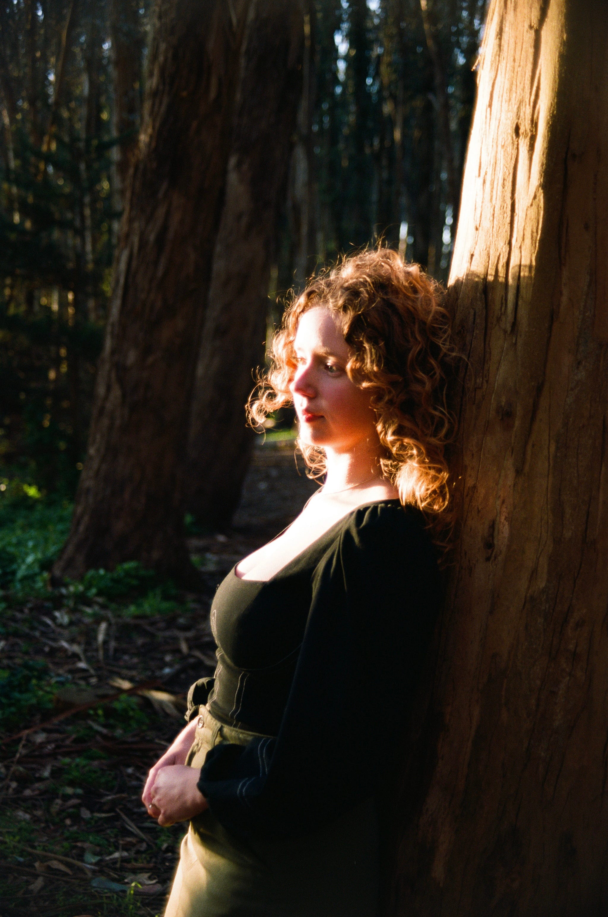 Meg Josephson | Substack