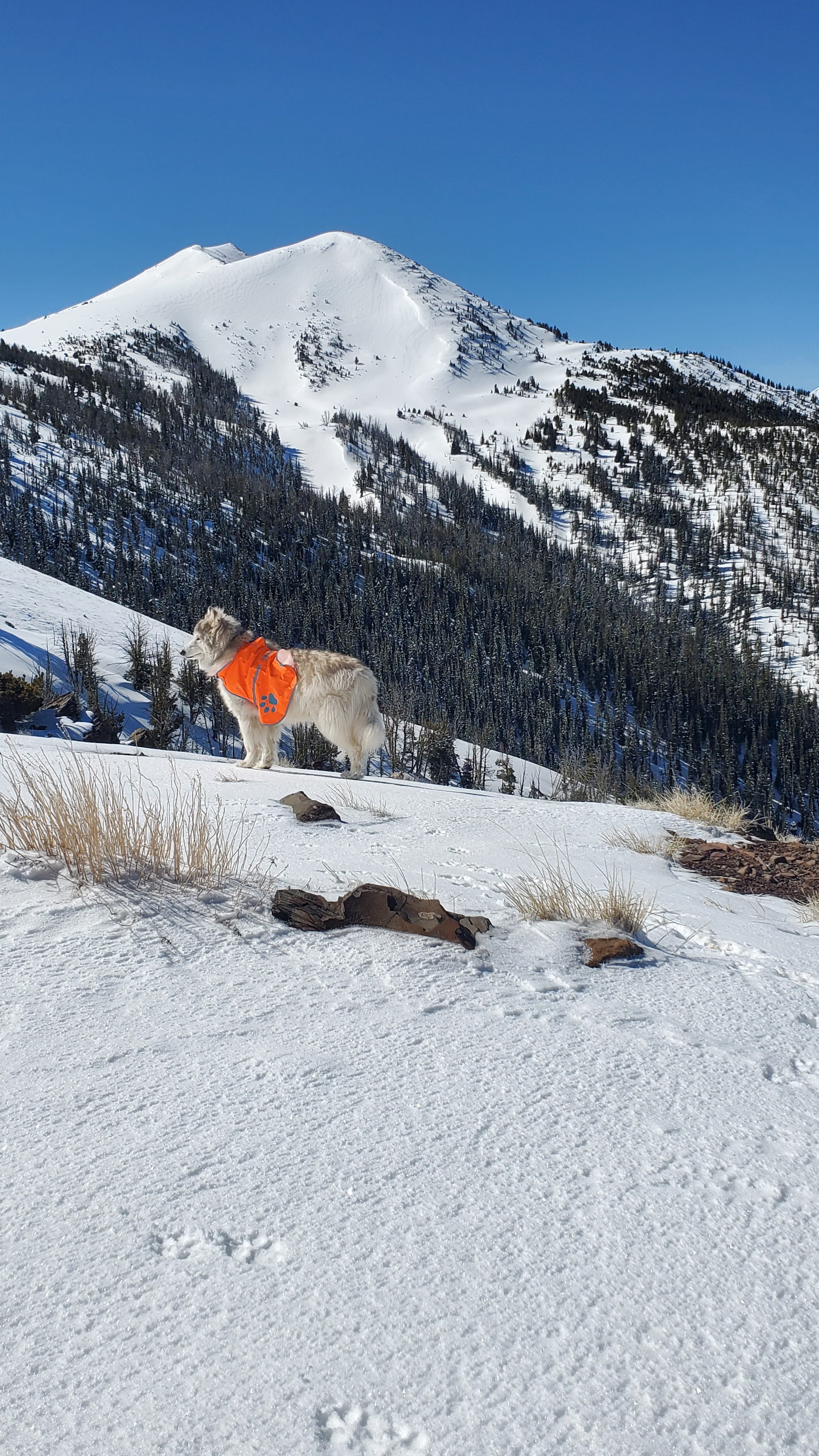 hitching a ride on the struggle bus