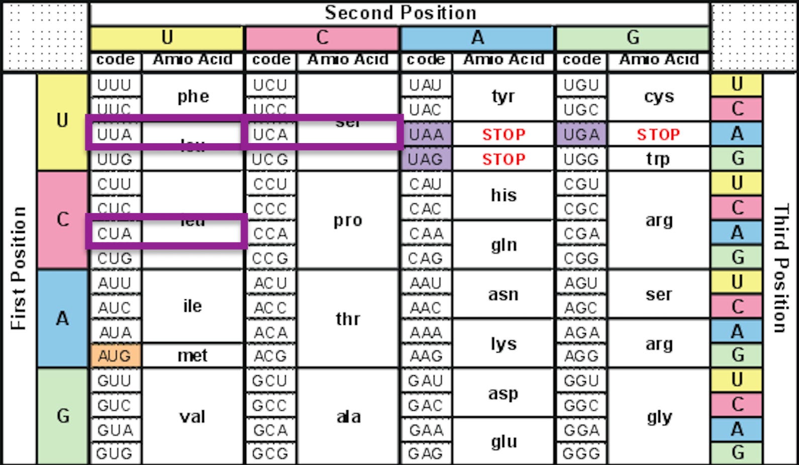 Can codon usage shed light on Spidroin? - by Anandamide