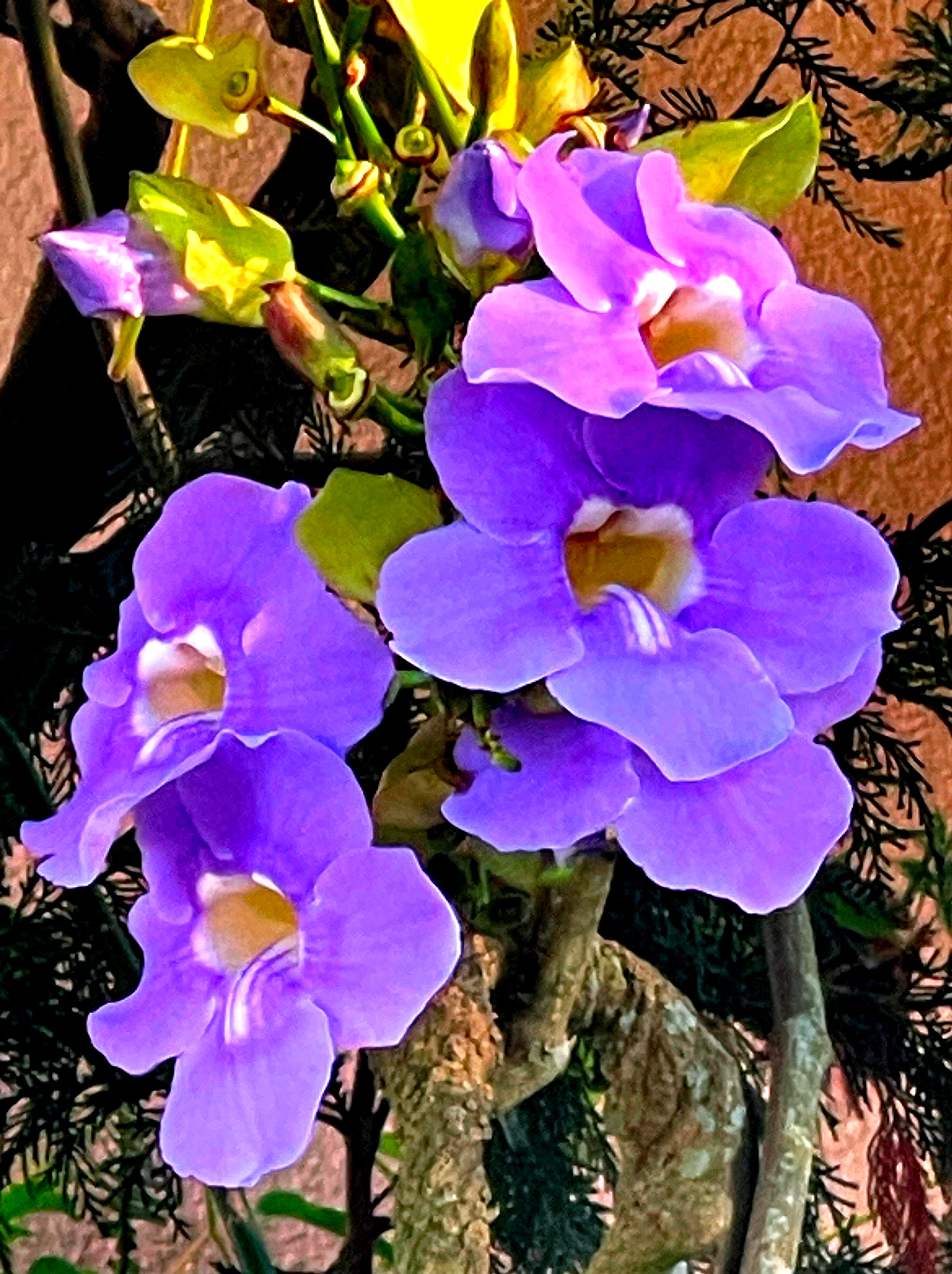 Experiencing Love - by Bev Levine - Bev’s Substack