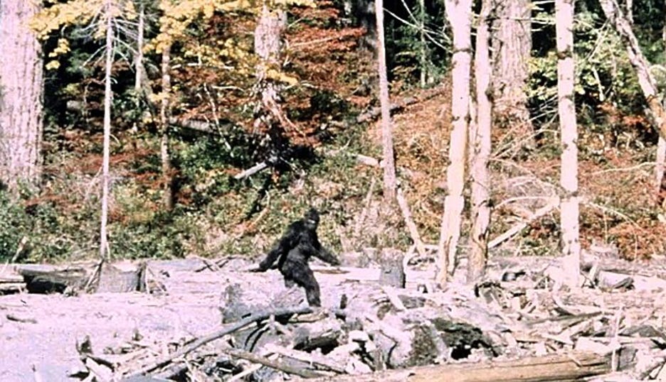 Patterson-Gimlin Bigfoot: Documentation or Fraud?