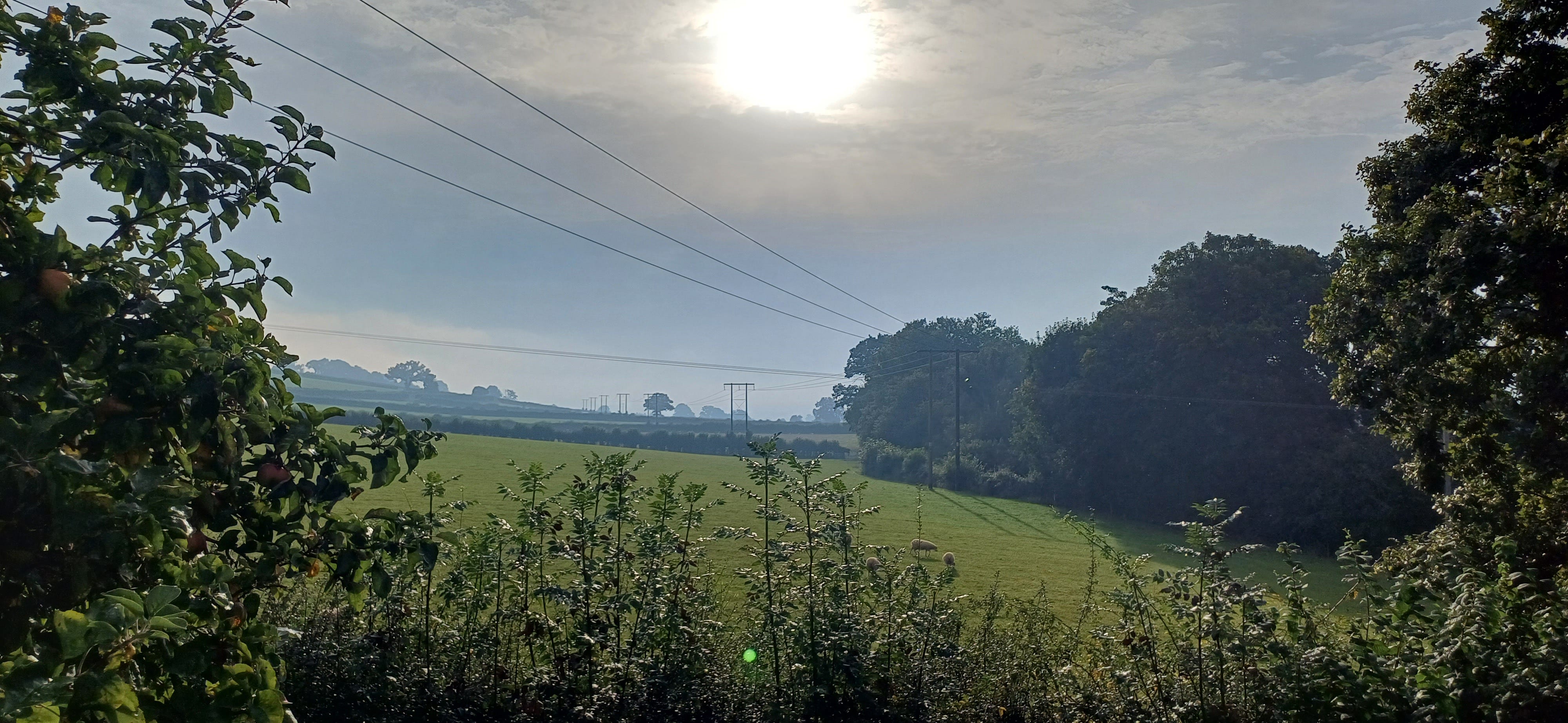 Late Summer Sun - by Chapters Hay-on-Wye
