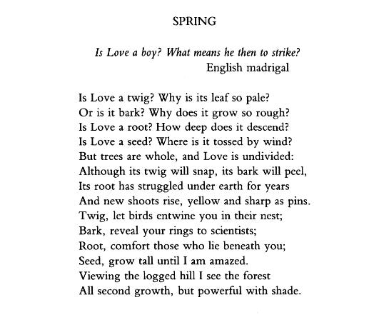 Poems for Spring - by Maya C. Popa - Poetry Today