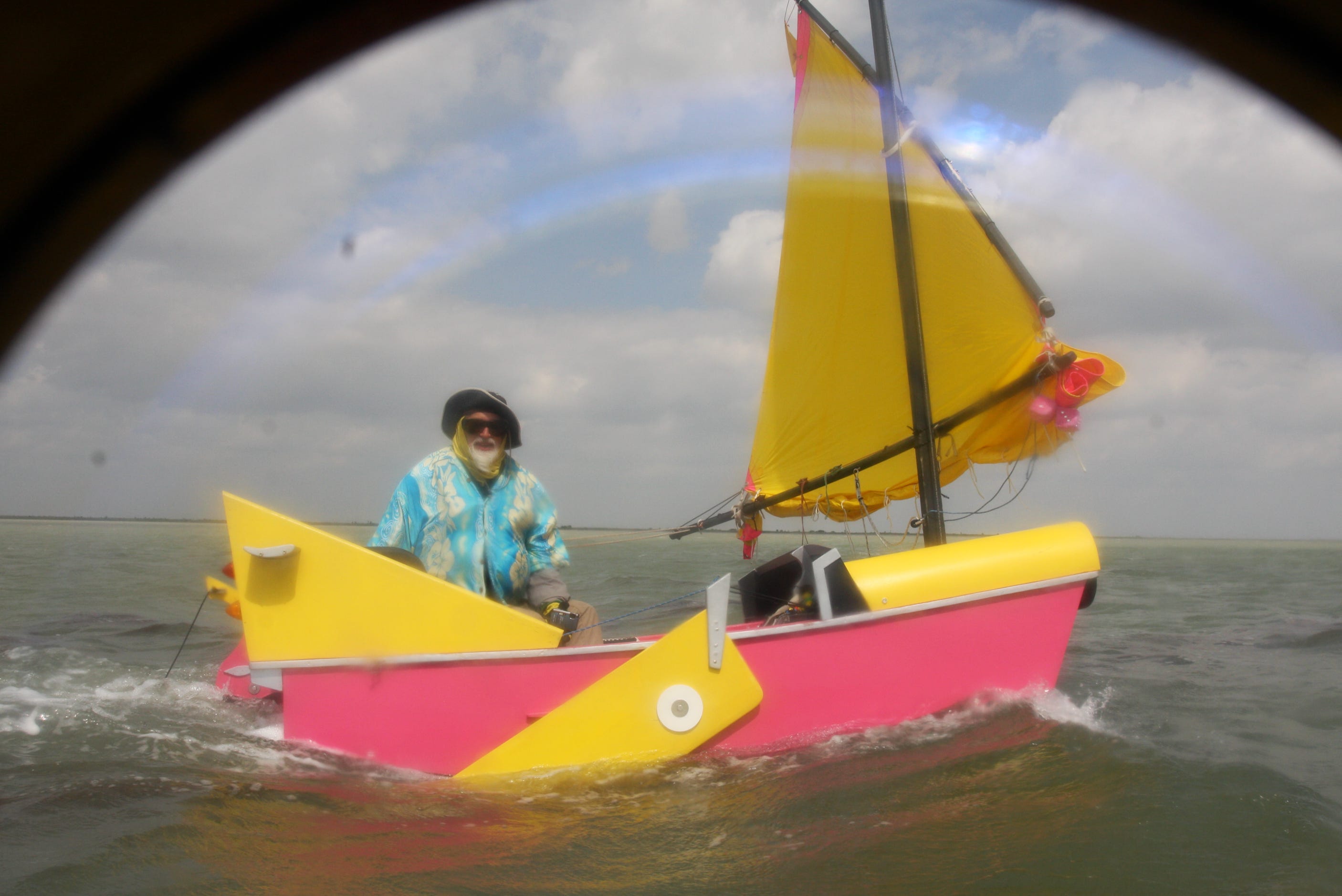 IT'S A HARD DUCK LIFE FOR US - by Joshua Colvin